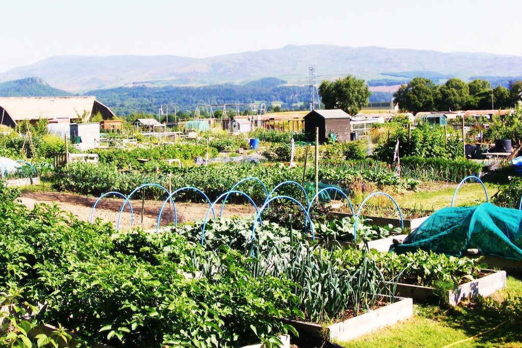 Community Archives - Comrie