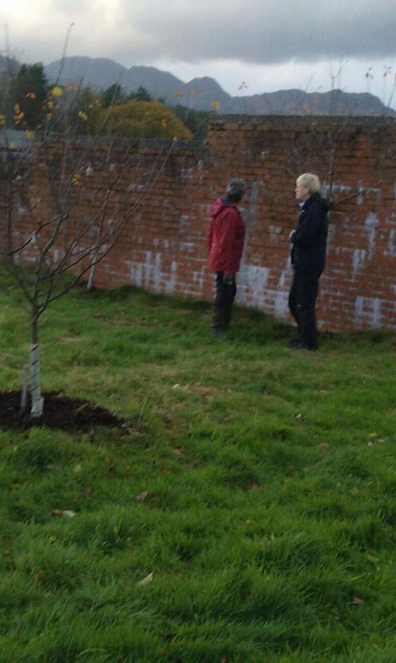 Comrie Community Orchard - Comrie