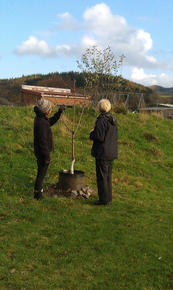 Comrie Community Orchard - Comrie