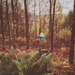Comrie Croft - Comrie