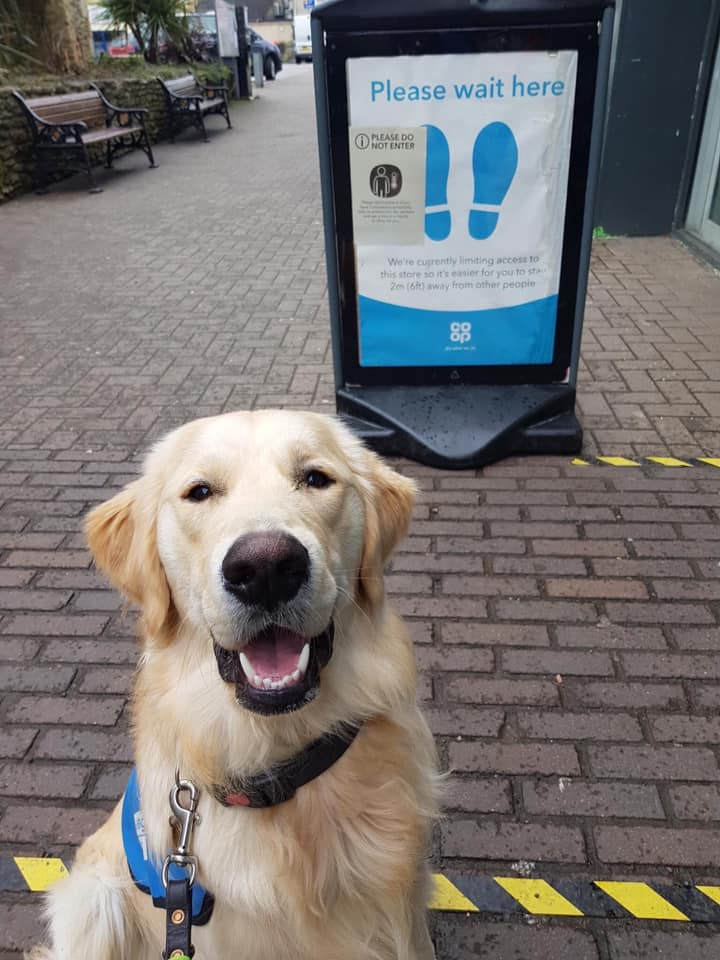 Guide Dogs - A gentle reminder - Comrie
